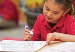 New Mexico International School